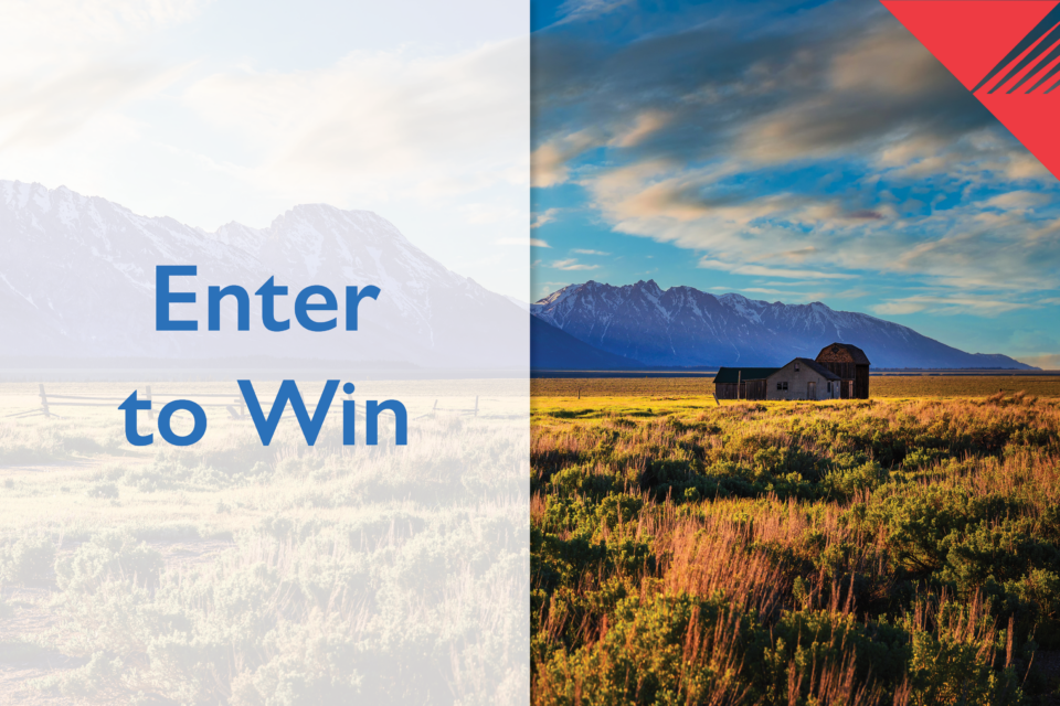 Enter to Win: Summer - Wattsmart Home